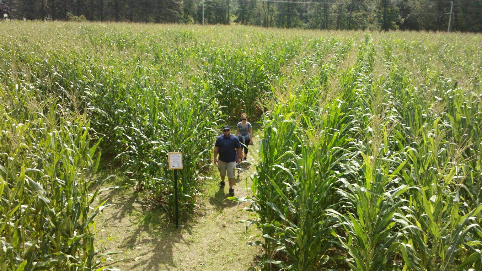 Wojcik's Farm | Come Spend a Day in the Countryside