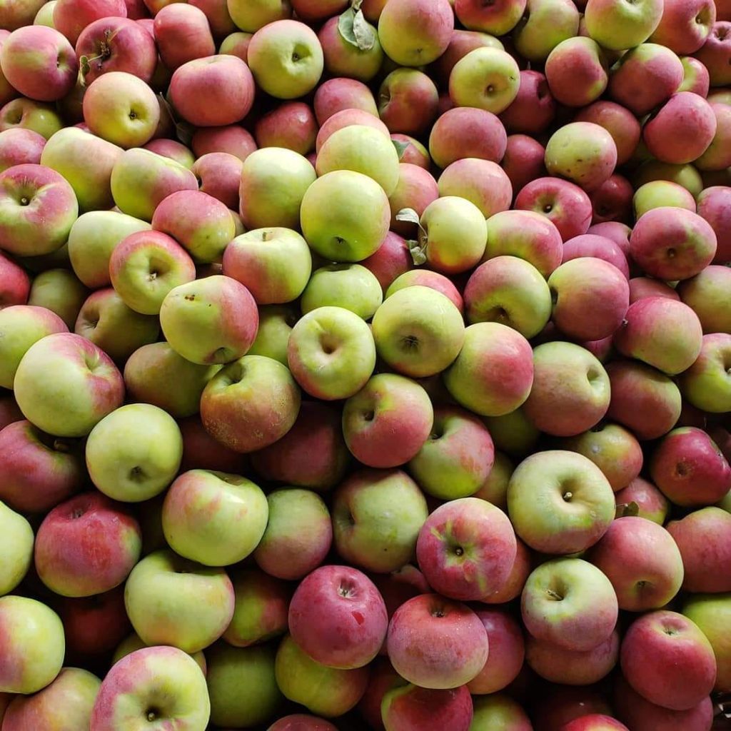 Farm Store & Produce | Wojcik's Farm